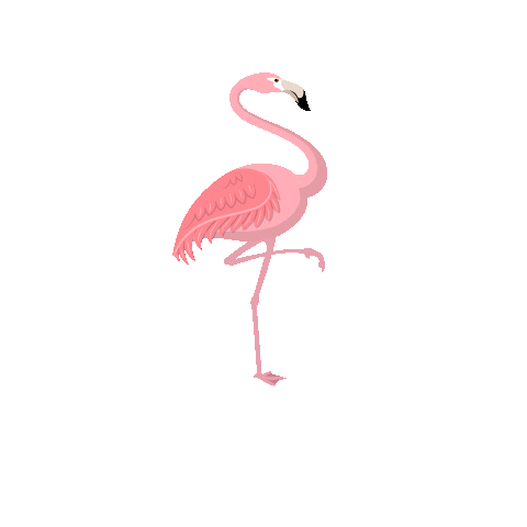 Flamingo Sticker by Hotel Belmont for iOS & Android | GIPHY