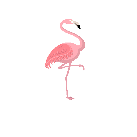 Flamingo Sticker by Hotel Belmont for iOS & Android | GIPHY