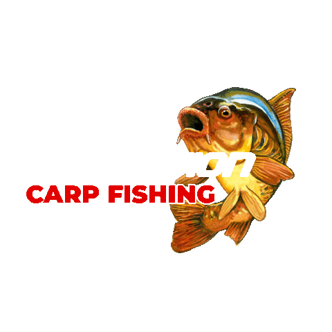 Sensational Angling Supplies GIFs on GIPHY - Be Animated