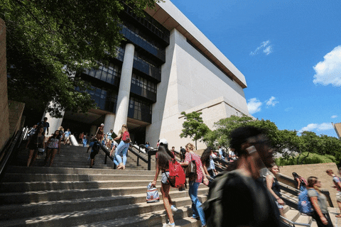 Texas State University GIFs - Get the best GIF on GIPHY