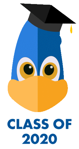 College Graduate Sticker by PomonaCollege for iOS & Android | GIPHY