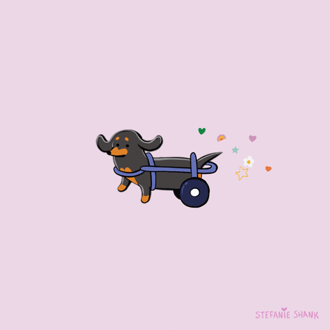 Sausage Dog GIF by Stefanie Shank - Find & Share on GIPHY