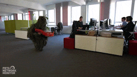 Office Prank GIF by PRTG - Find & Share on GIPHY