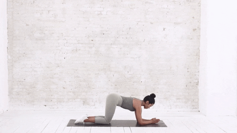 Fitness Workout GIF by 8fit - Find & Share on GIPHY