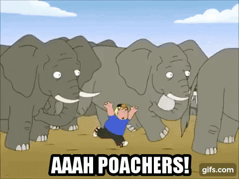 Poacher GIFs - Get the best GIF on GIPHY