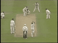 Cricket Gif