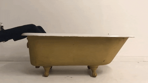 Bathroom-pose GIFs - Get the best GIF on GIPHY