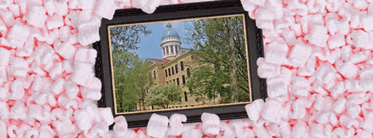 College Universities GIF by CASE - Find & Share on GIPHY