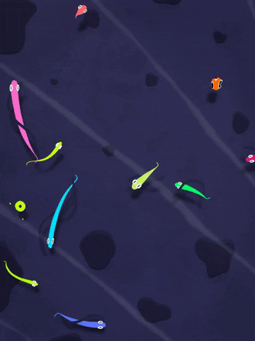 Animation Swimming GIF by HANDYMARTIAN - Find & Share on GIPHY