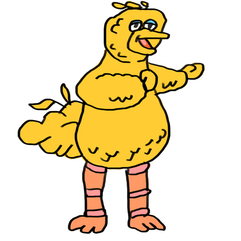 Bigbird GIFs - Get the best GIF on GIPHY