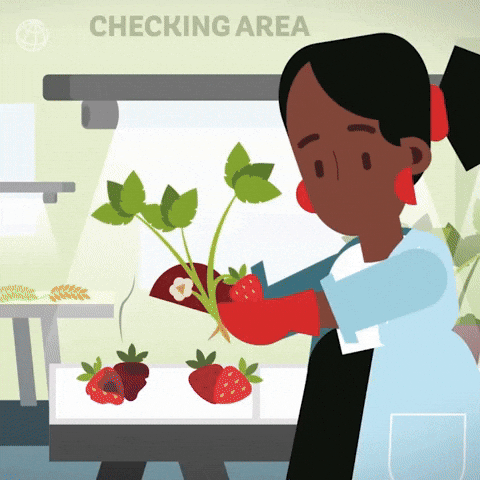 World Bank GIFs on GIPHY - Be Animated