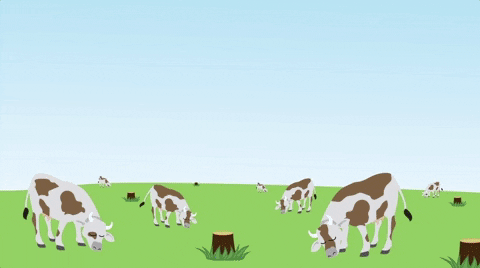 Agricultural Industry GIFs - Get the best GIF on GIPHY