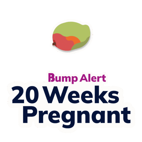 The Bump's "How Big is Baby" GIFs on GIPHY - Be Animated