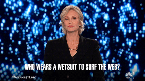 Surfing The Web Gif