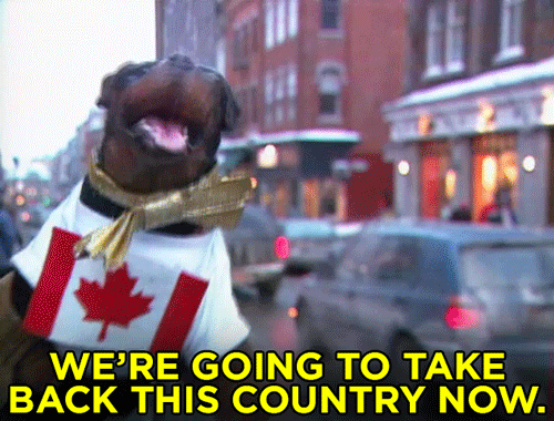 Triumph The Insult Comic Dog Conan25 GIF by Team Coco - Find & Share on ...