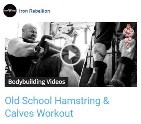 Calves GIFs - Get the best GIF on GIPHY