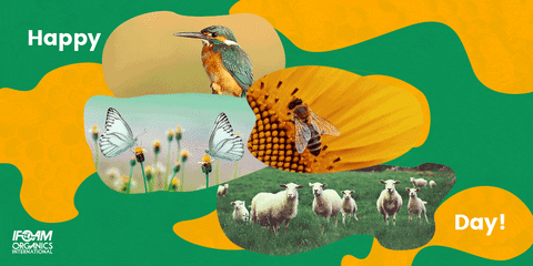 Biodiversity Organicfarming GIF by IFOAM - Organics International ...