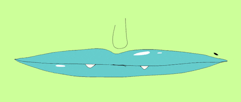 Bat Scream GIFs - Get the best GIF on GIPHY