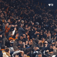 Animated Crowd Gif