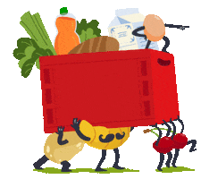 Picnic sticker GIFs on GIPHY - Be Animated