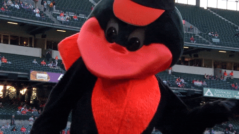 Baltimore Orioles GIF - Find & Share on GIPHY