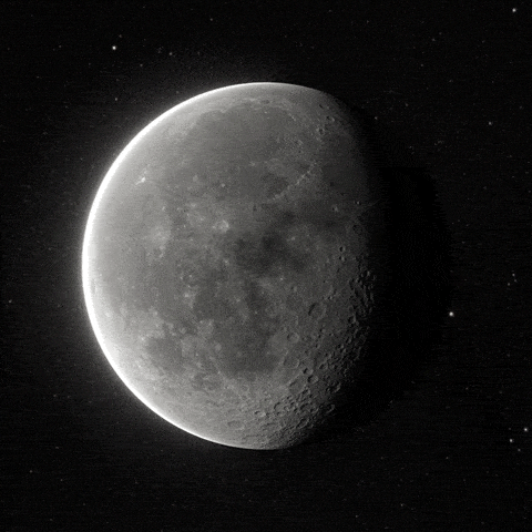 Loop Space GIF by xponentialdesign - Find & Share on GIPHY