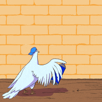 5 GIFs to Fight Racial Discrimination by GIF Peace a Chance | GIPHY