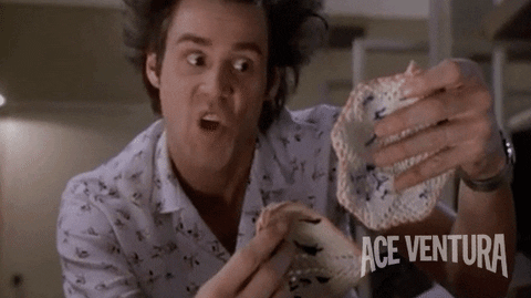 Jim Carrey Alrighty Then GIF by Ace Ventura - Find & Share on GIPHY