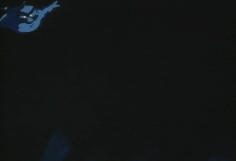 Swooping Is Bad GIFs - Get the best GIF on GIPHY