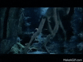 Gollum GIFs - Find & Share on GIPHY