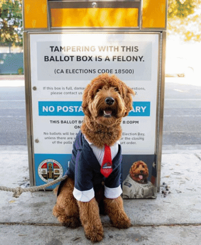 Full-contact GIFs - Get the best GIF on GIPHY