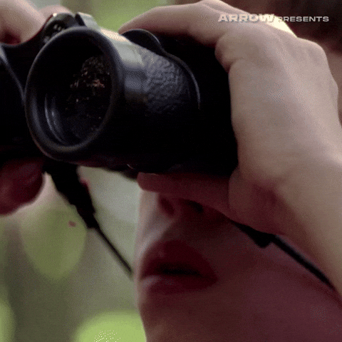 Arrow Video GIFs on GIPHY - Be Animated