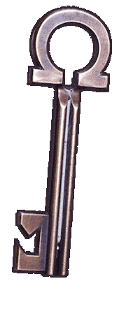 Chiave Sticker by netflixit for iOS & Android | GIPHY