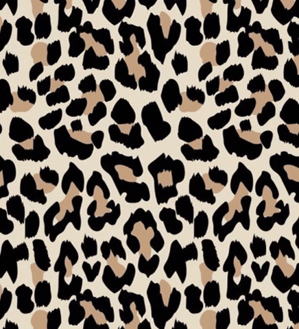 Cheetah Print Gif