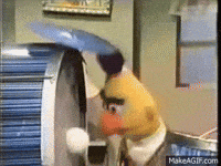 Bert Gif