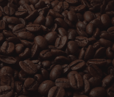 Coffee Time Snacktime GIF by Eat Your Coffee - Find & Share on GIPHY