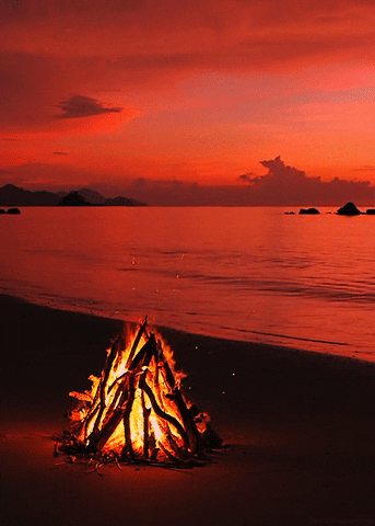 Beach Sea GIF by Head Like an Orange - Find & Share on GIPHY