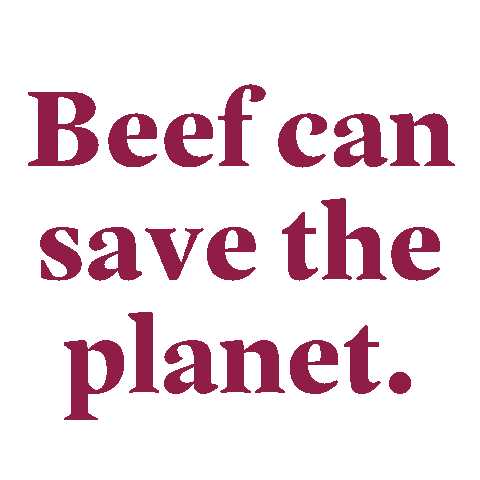 FOND Bone Broth GIFs - Find & Share on GIPHY