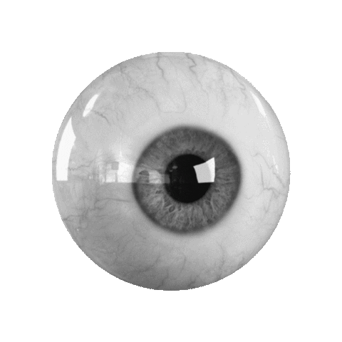 Thulthain basic GIFs on GIPHY - Be Animated