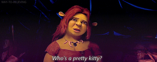 Kitty-question GIFs - Get the best GIF on GIPHY