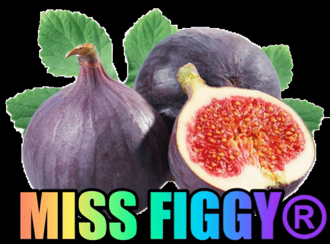Fig GIF by Efecantarim - Find & Share on GIPHY
