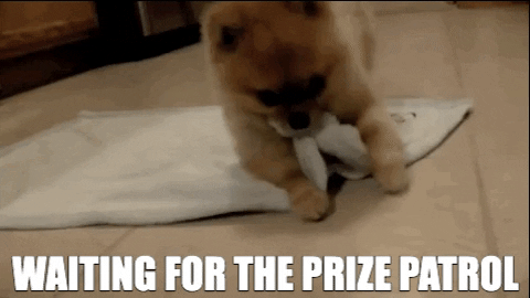 The Prize GIFs - Get the best GIF on GIPHY