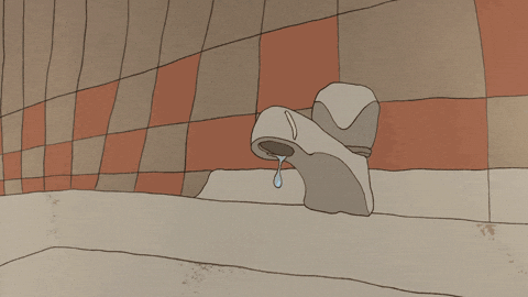 Drip Faucet GIF by Amanda Bonaiuto - Find & Share on GIPHY