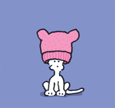 Chippy the Dog GIF - Find & Share on GIPHY