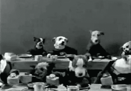 - Find & Share on GIPHY