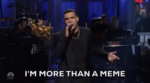 Im More Than A Meme GIFs - Get the best GIF on GIPHY