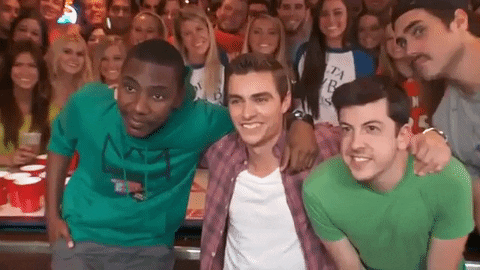 Beercat GIFs - Get the best GIF on GIPHY