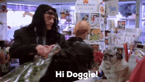 Hi-doggie GIFs - Get the best GIF on GIPHY