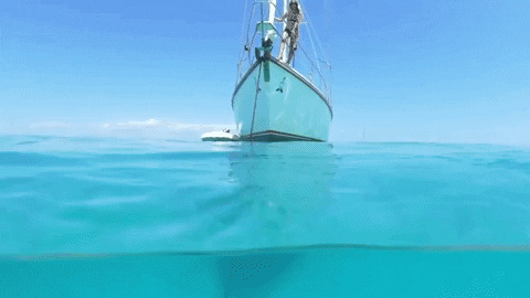 Vacation Sailing GIF - Find & Share on GIPHY