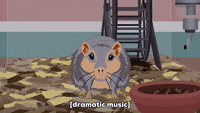 Dramatic Hamster Gif